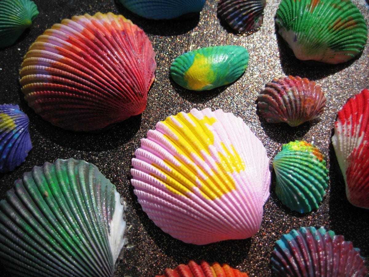 "Little" Swanky « Autism Oklahoma